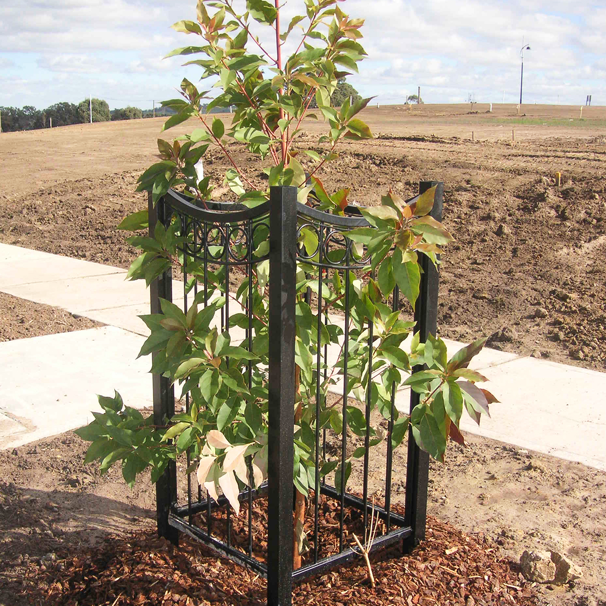 TG20 Tree Guard | Urban Design Group | Street Furniture Manufacturer